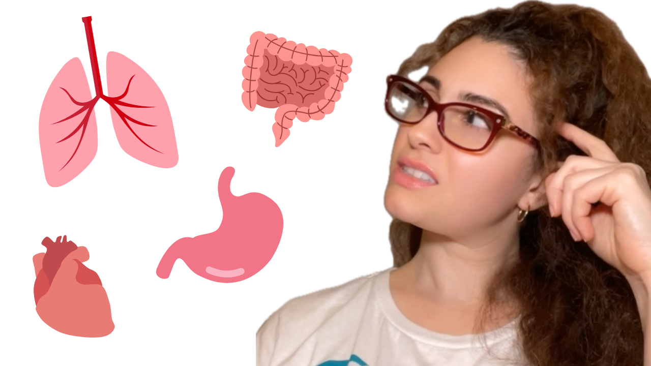 Do corsets rearrange your organs? - Sinduz marie